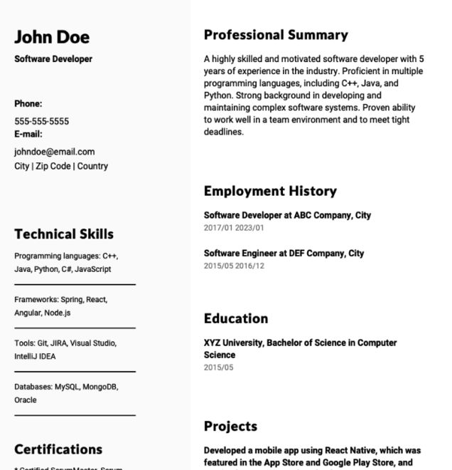 Software Developer Resume Example & Writing Guide — CVBLADE